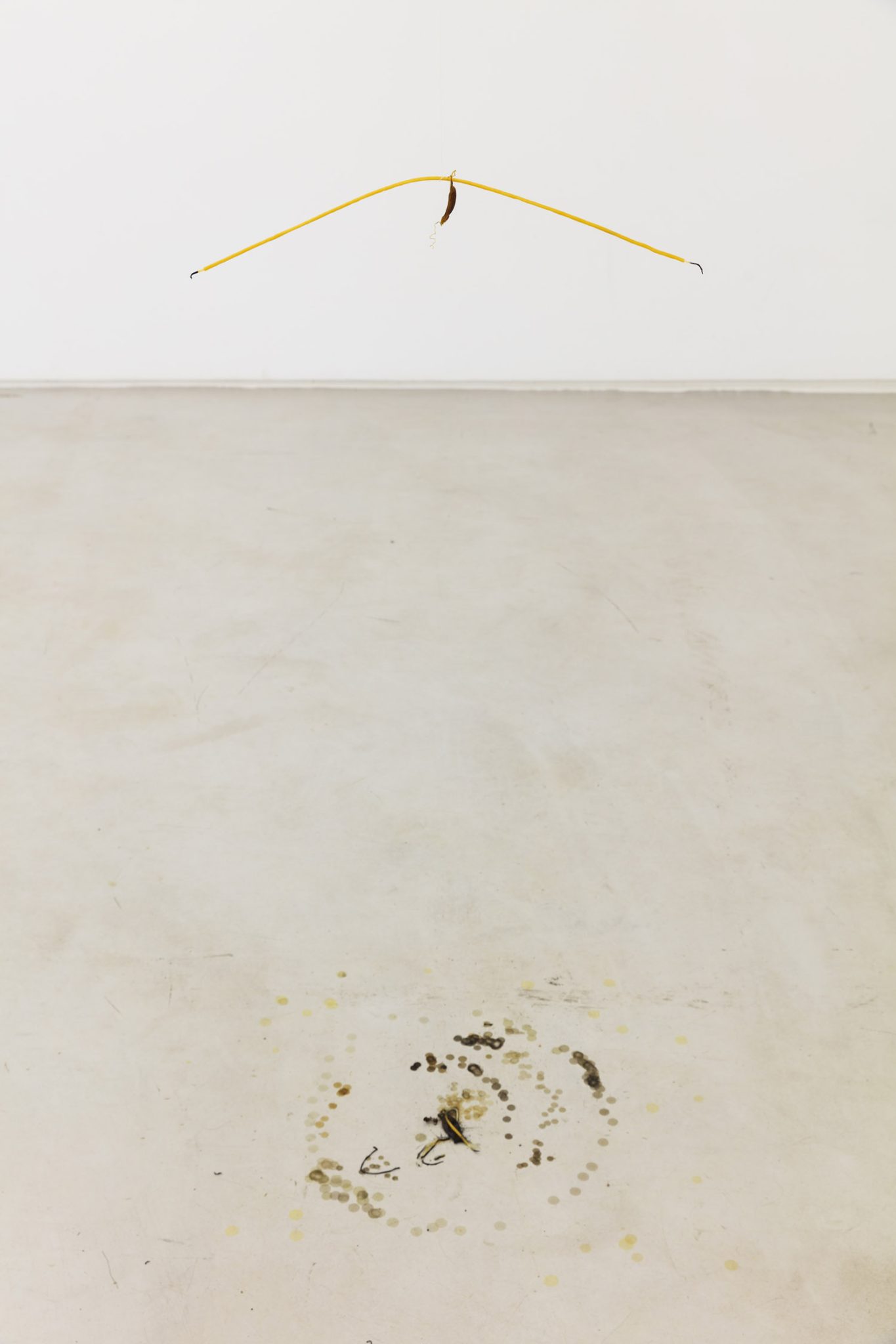 Manon Harrois at Galeria Foco, Lisbon – Art Viewer