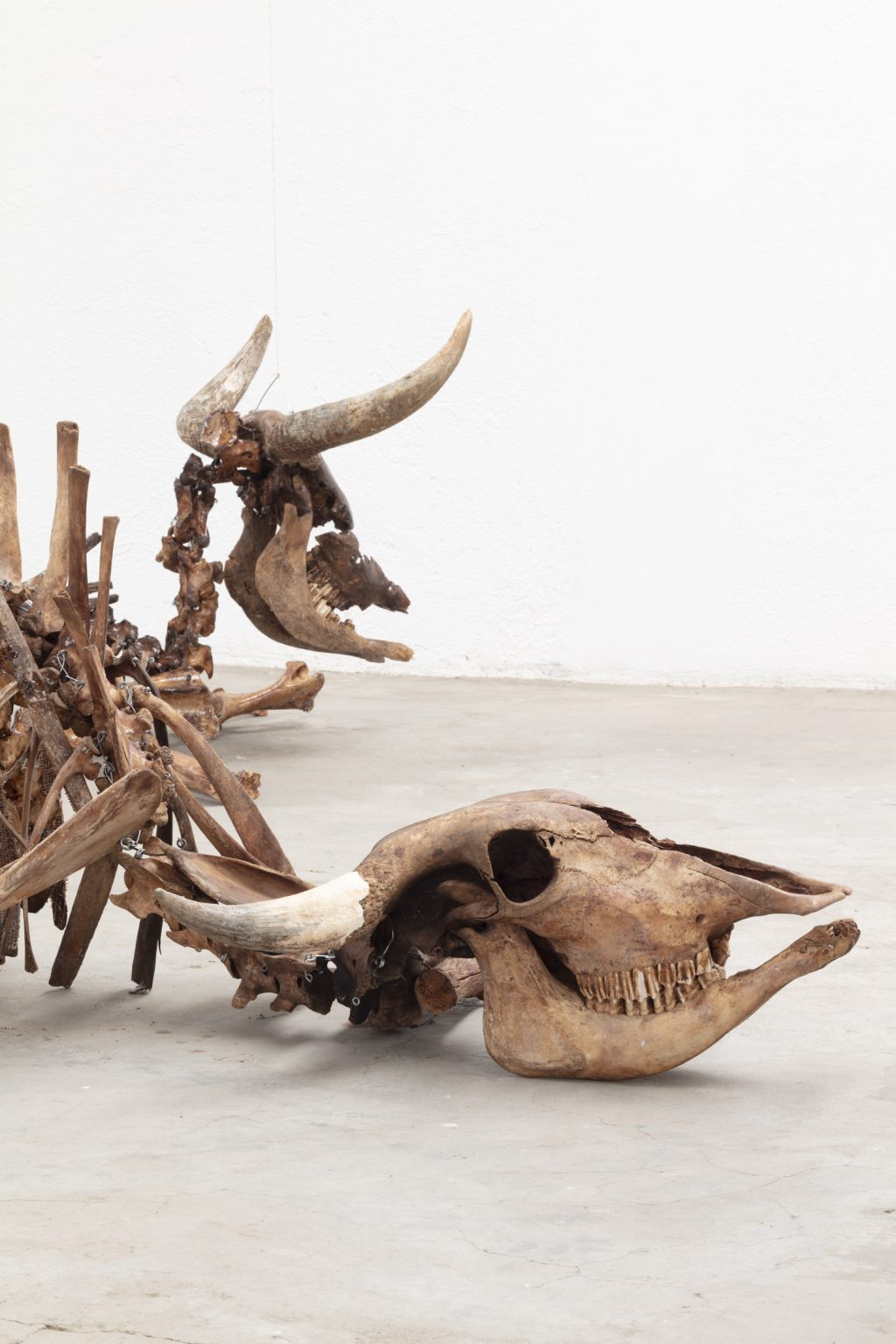 Patricia Belli at Parallel Oaxaca – Art Viewer