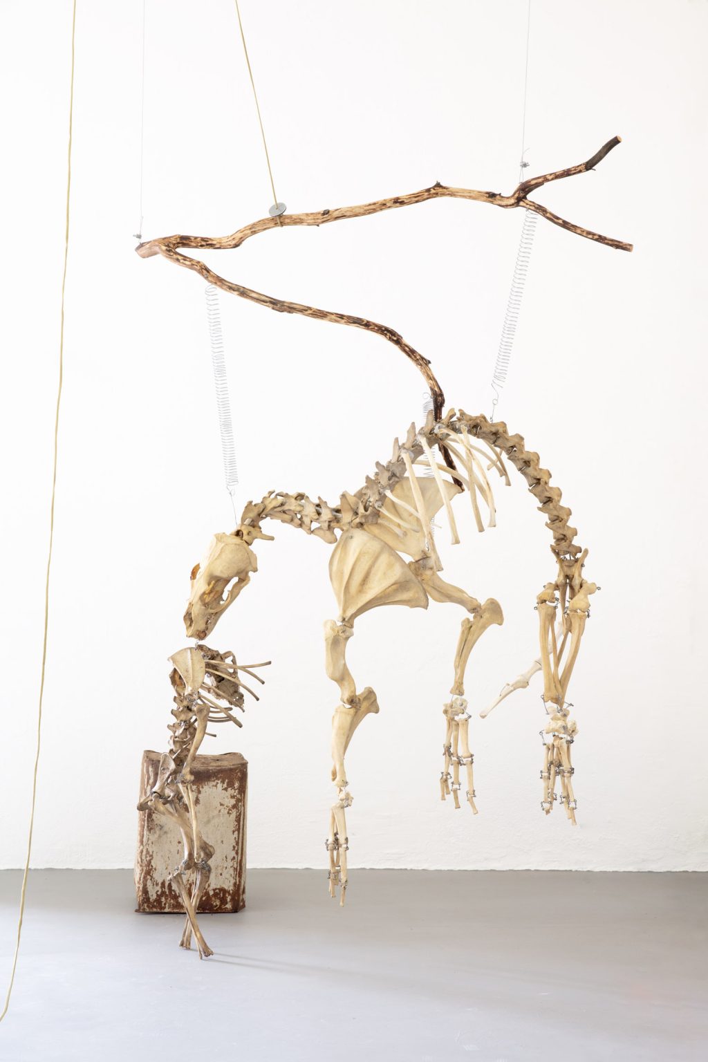 Patricia Belli at Parallel Oaxaca – Art Viewer