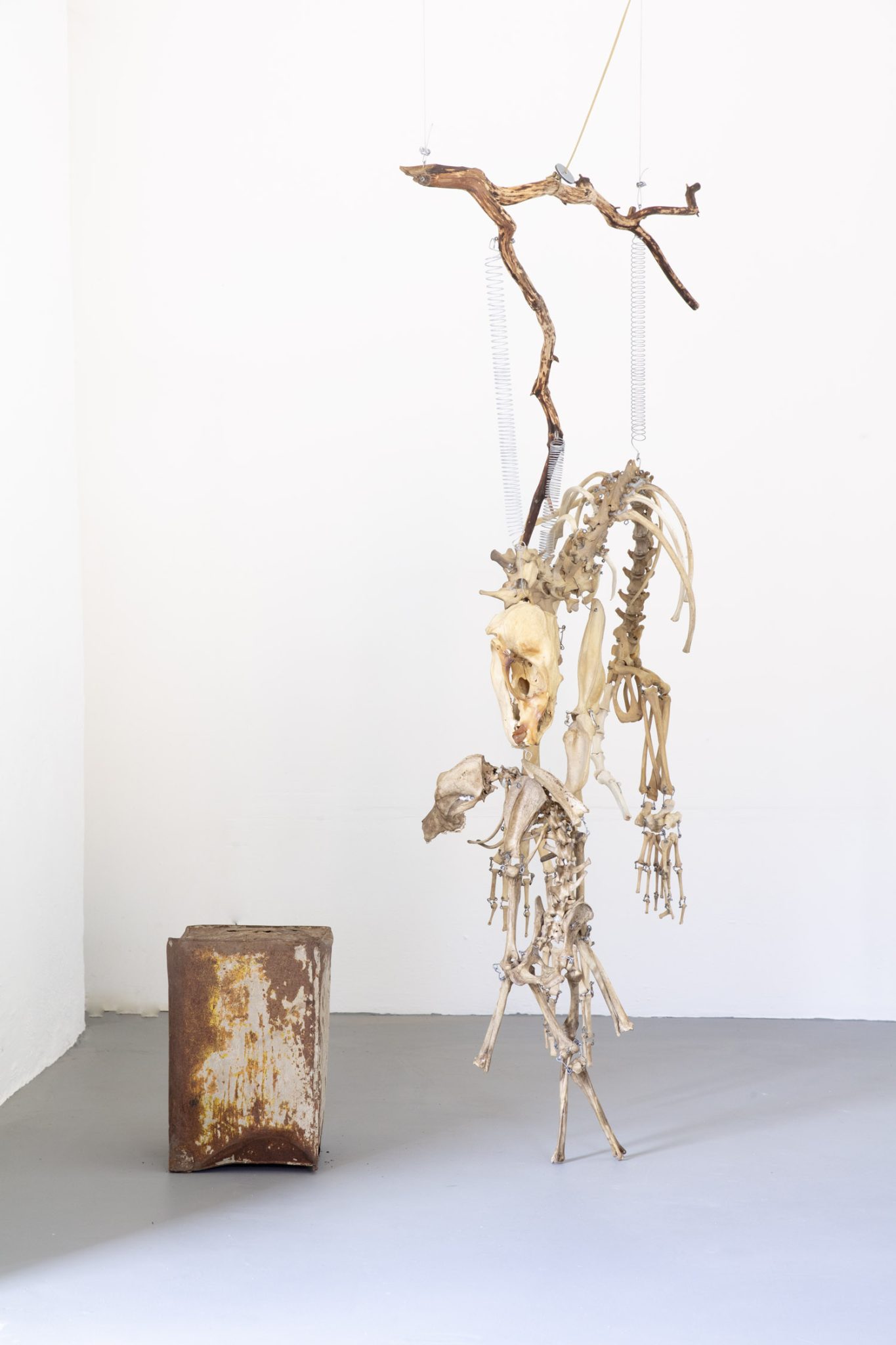 Patricia Belli at Parallel Oaxaca – Art Viewer