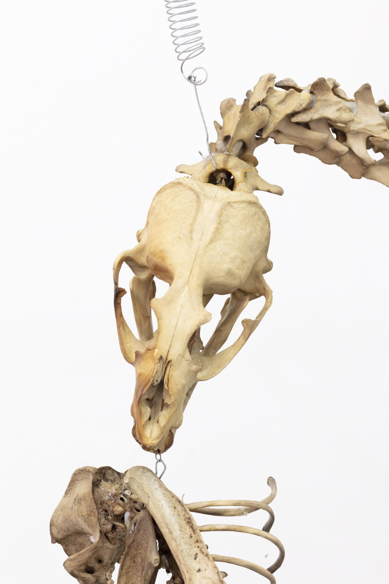 Patricia Belli at Parallel Oaxaca – Art Viewer