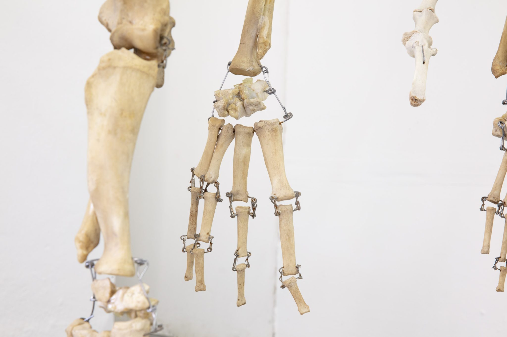 Patricia Belli at Parallel Oaxaca – Art Viewer