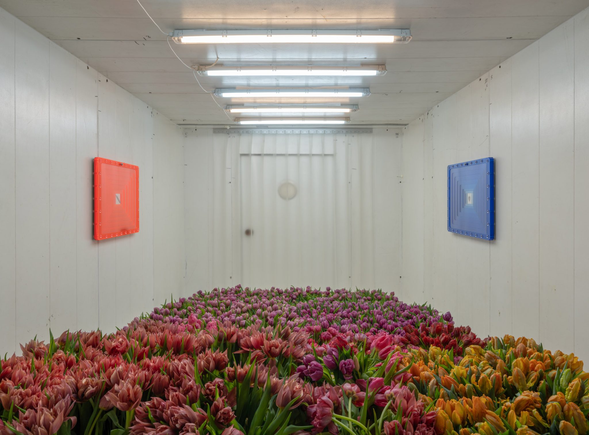 Villiam Miklos Andersen at O—Overgaden, Copenhagen – Art Viewer