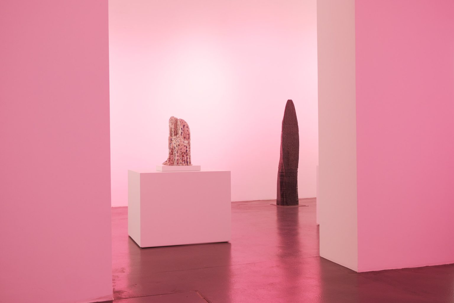 Antoine Renard at Galerie Nathalie Obadia, Paris – Art Viewer