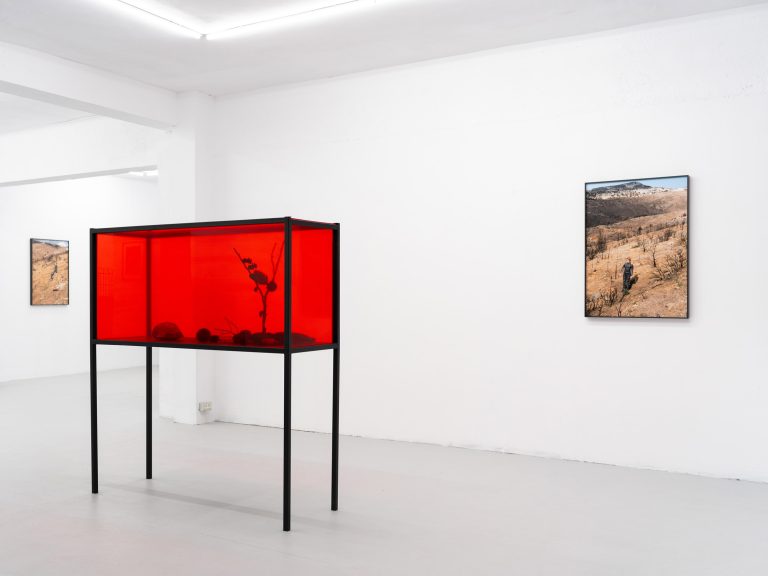 Nona Inescu at Catinca Tabacaru Gallery, Bucharest – Art Viewer