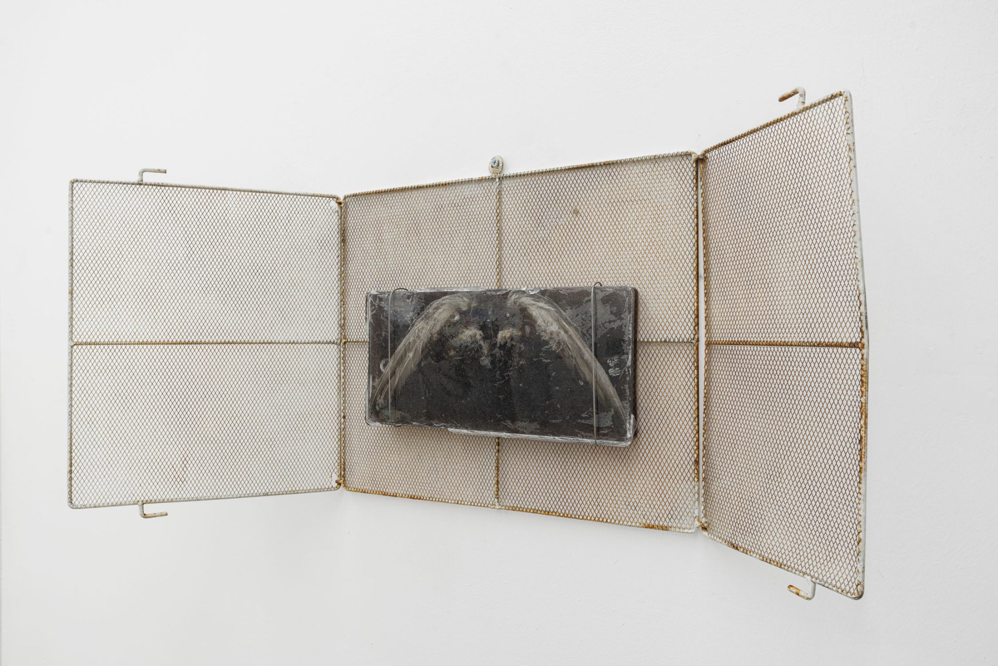 Bri Williams at Clima, Milan – Art Viewer