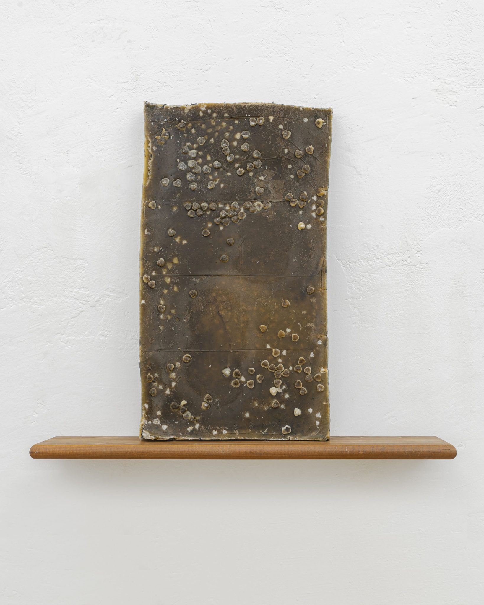Bri Williams at Clima, Milan – Art Viewer