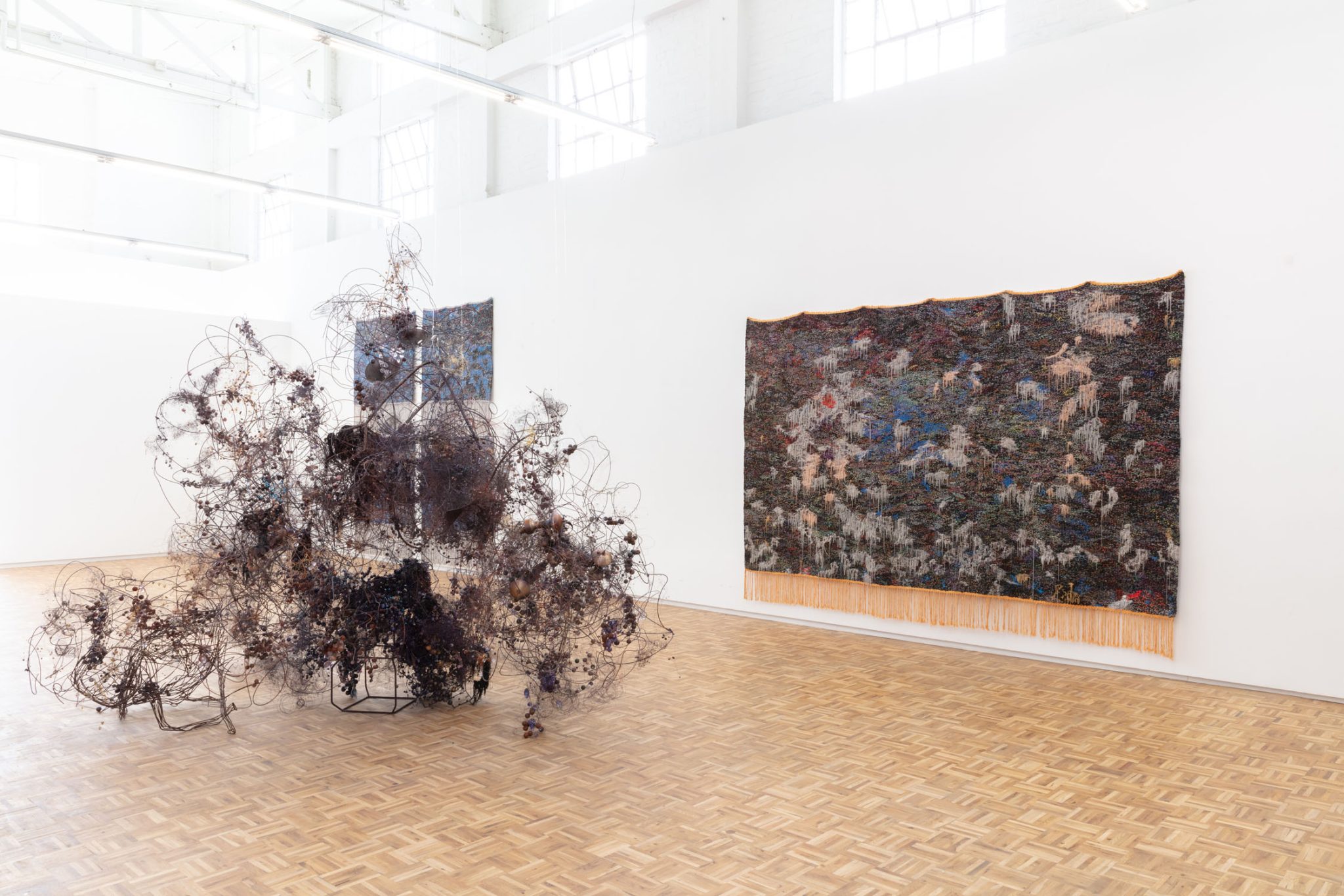 Igshaan Adams at blank, Cape Town – Art Viewer