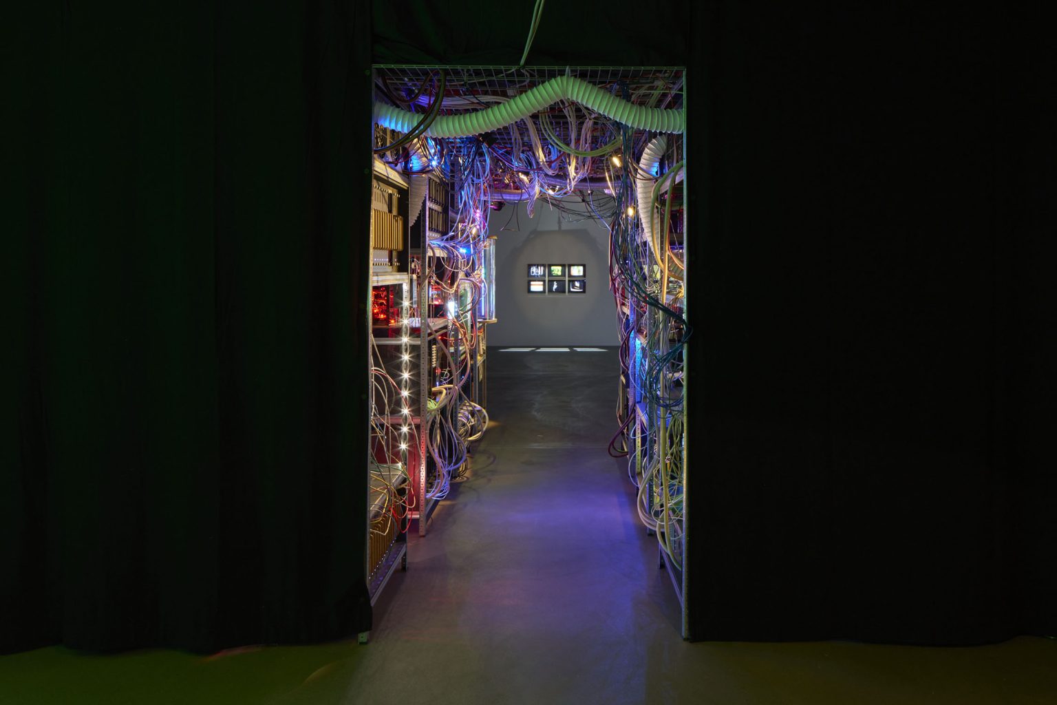 [ a n y m a ] Michael Egger at Kunsthalle Friart Fribourg – Art Viewer