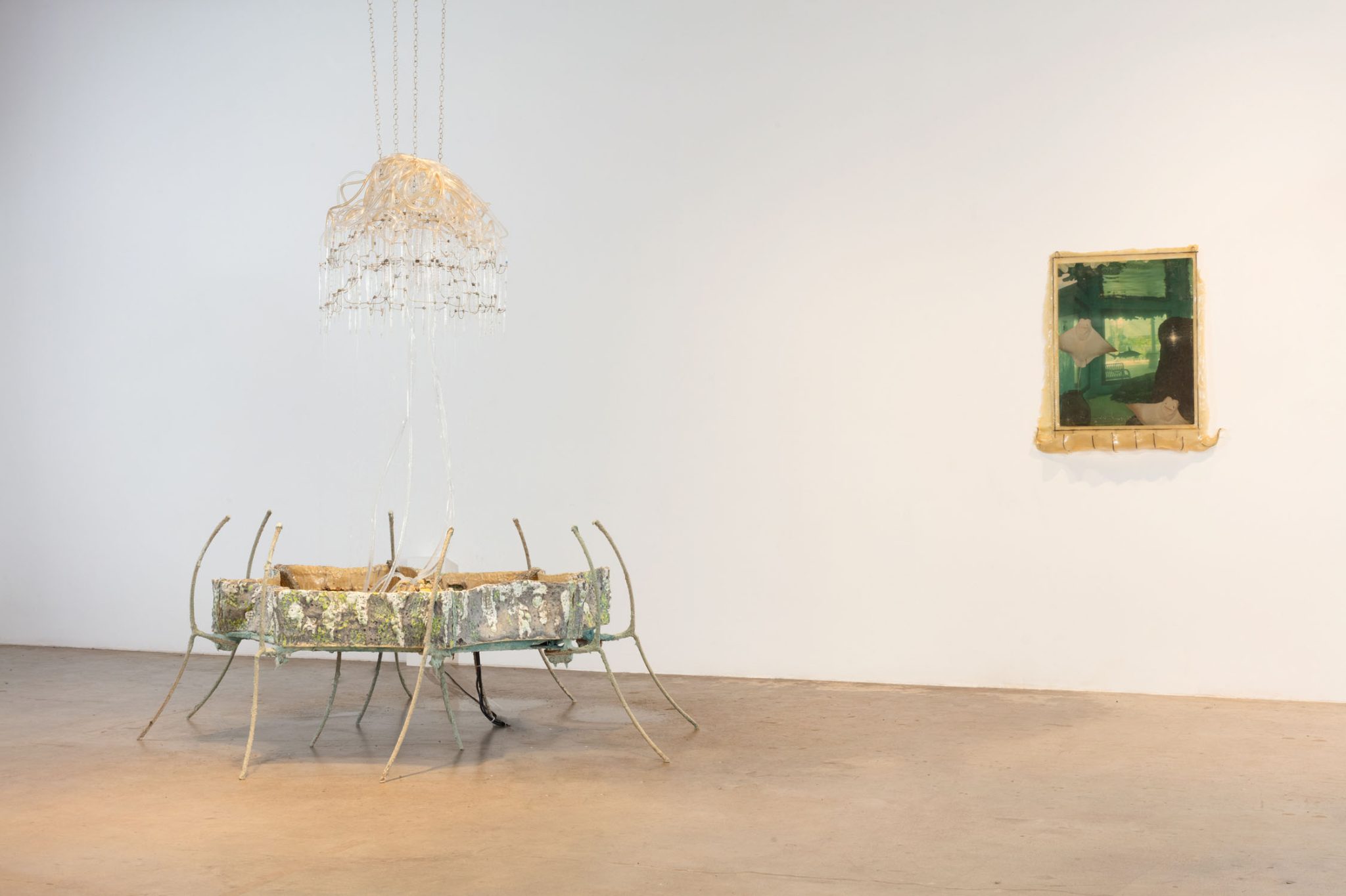 Sasha Fishman at Murmurs, Los Angeles – Art Viewer