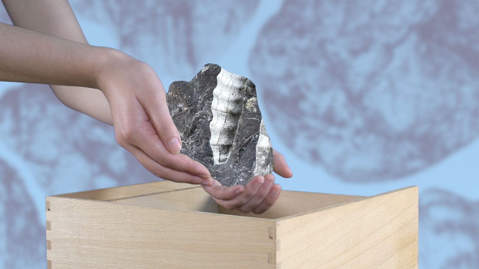 Exhibitions – Art Viewer