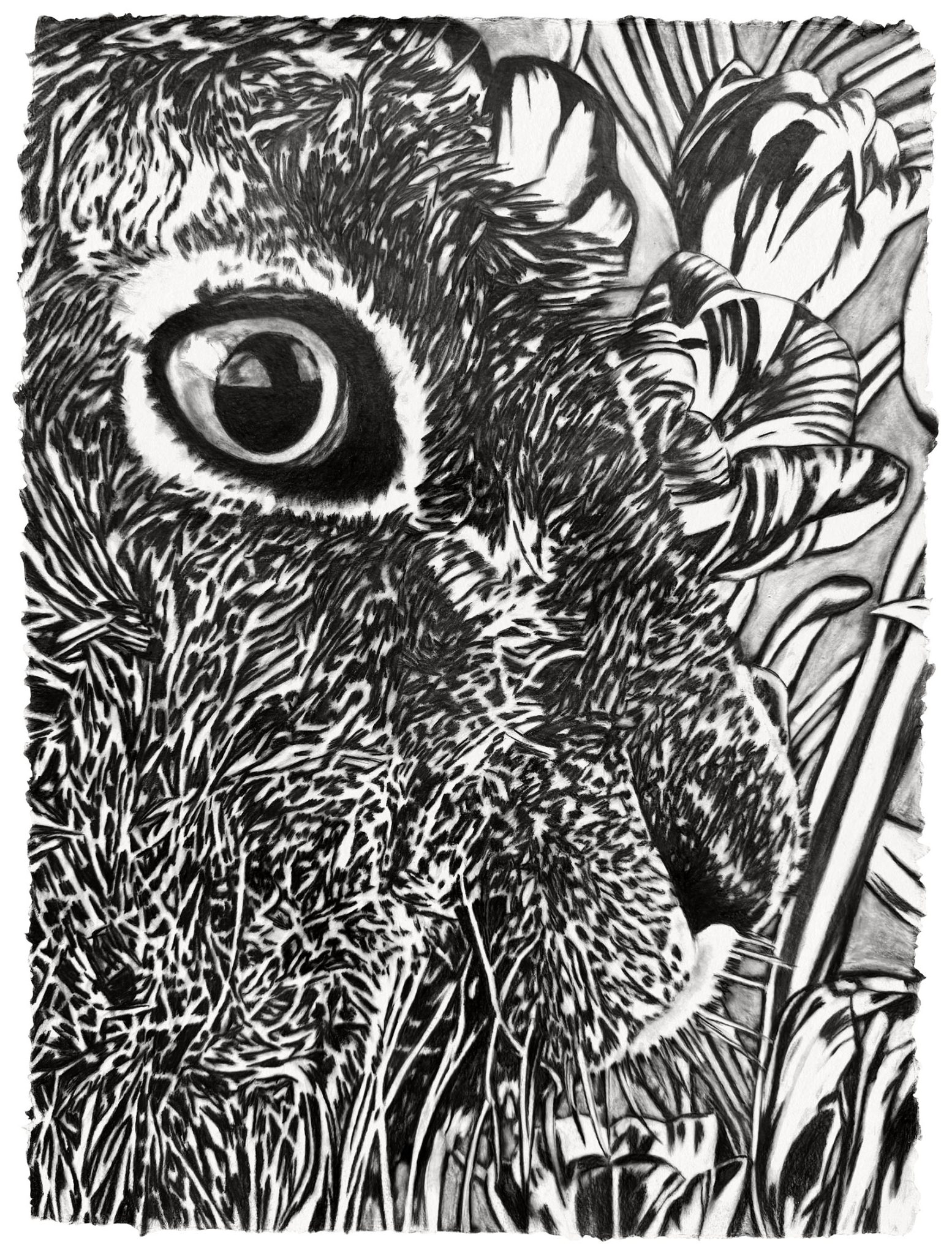 Raymond Pettibon and John Newsom at Kebbel Villa, Schwandorf – Art Viewer