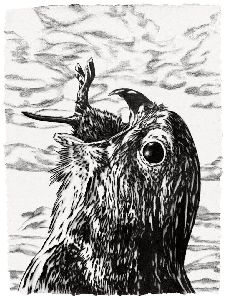 Raymond Pettibon and John Newsom at Kebbel Villa, Schwandorf – Art Viewer