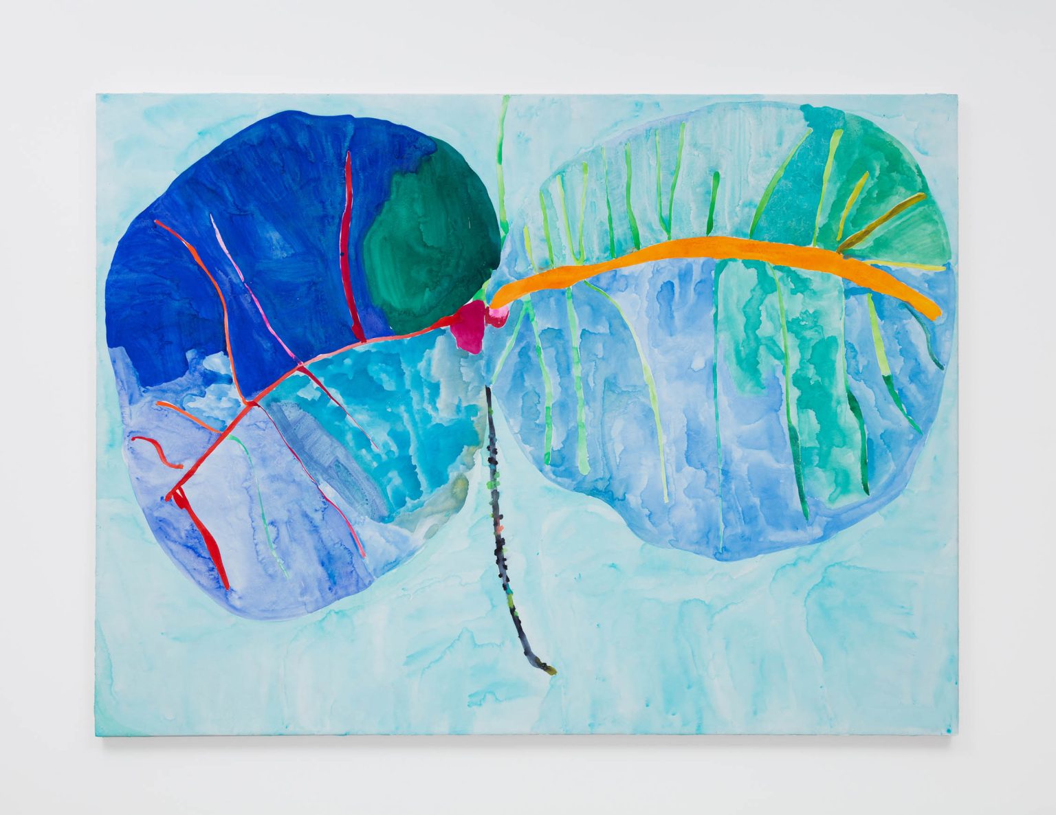 Maru Aponte at Towards, Toronto – Art Viewer