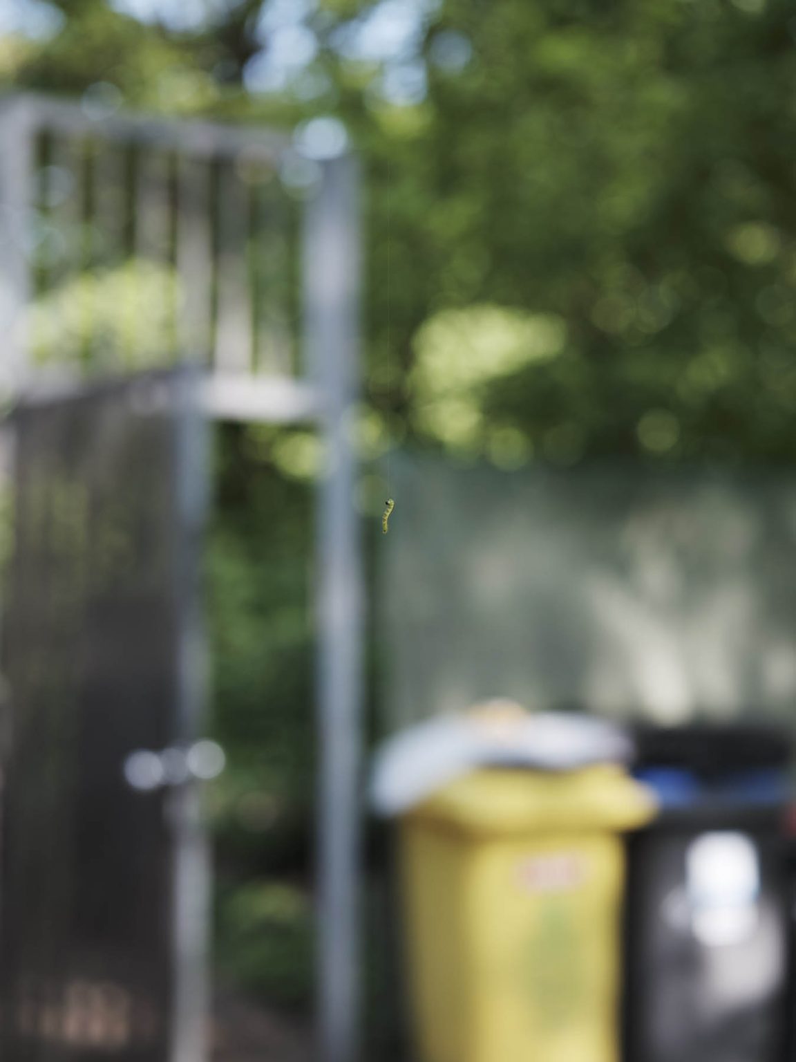 Philip Gaisser at LE BAILLI, Brussels – Art Viewer