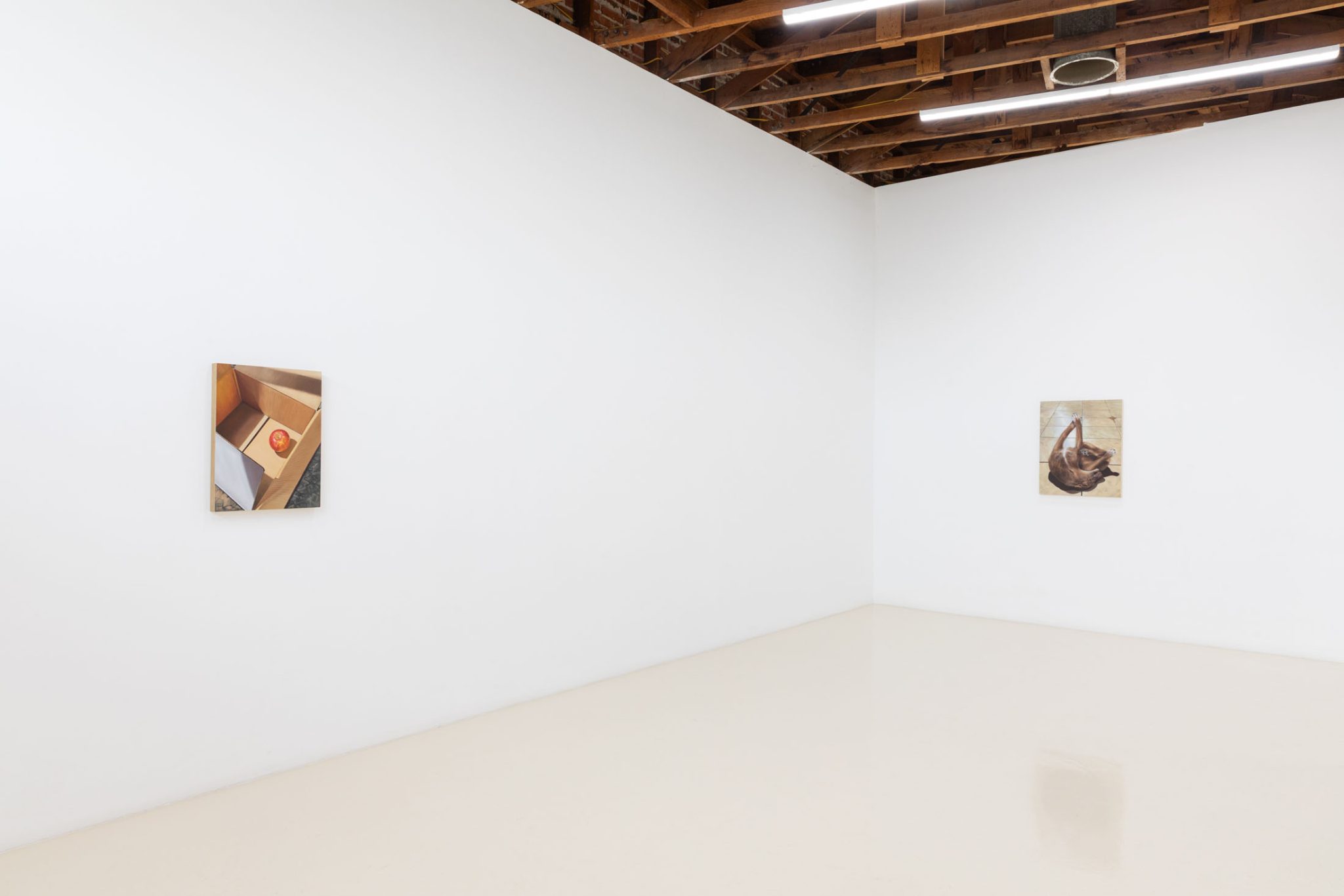 Audrey Leshay at Chris Sharp Gallery, Los Angeles – Art Viewer