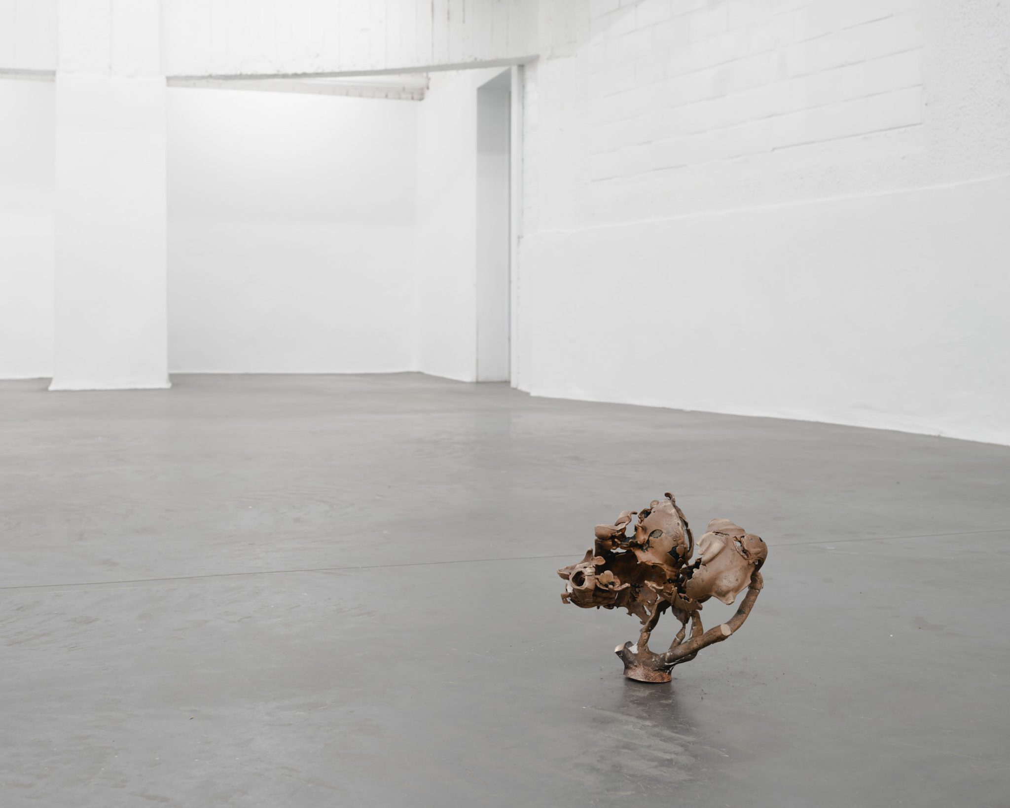 Maarten Van Roy at CC Strombeek, Strombeek-Bever – Art Viewer