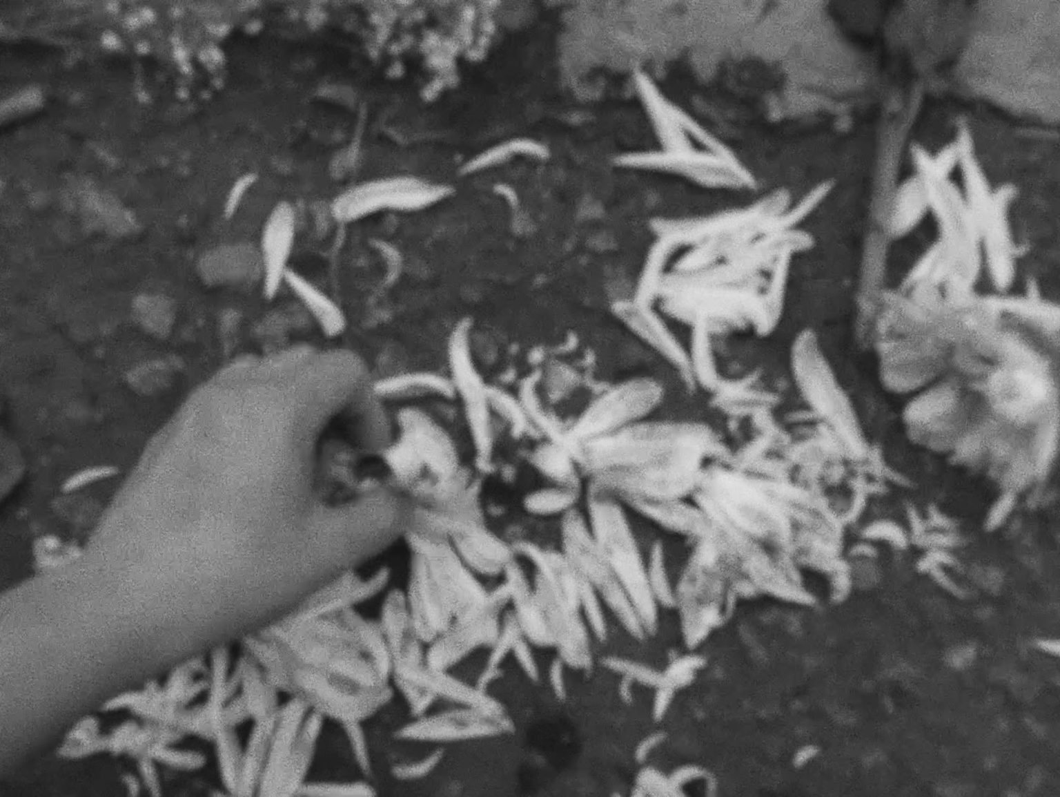 Chan Hau Chun at Empty Gallery, Hong Kong – Art Viewer