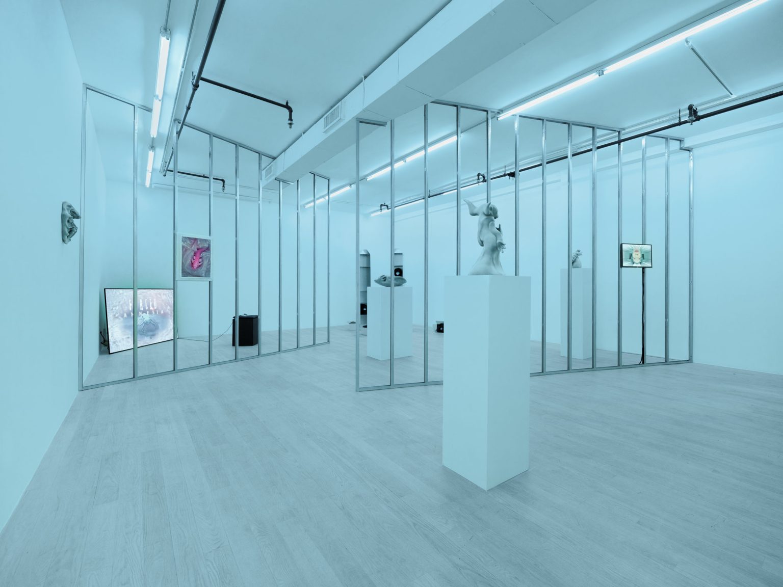 Stine Deja and Mary-Audrey Ramirez at Management, New York – Art Viewer