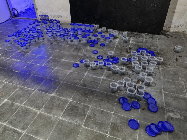 Allen-Golder Carpenter at Tick Tack, Antwerp – Art Viewer