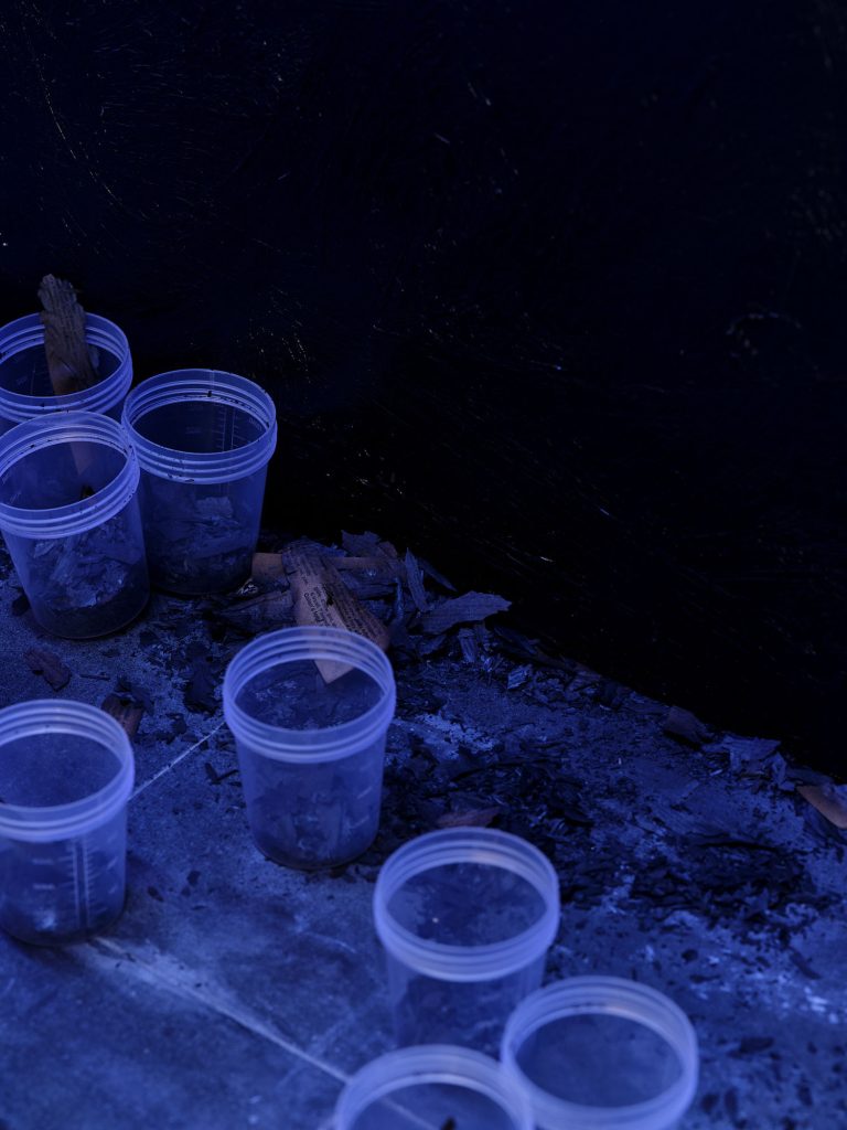 Allen-Golder Carpenter at Tick Tack, Antwerp – Art Viewer