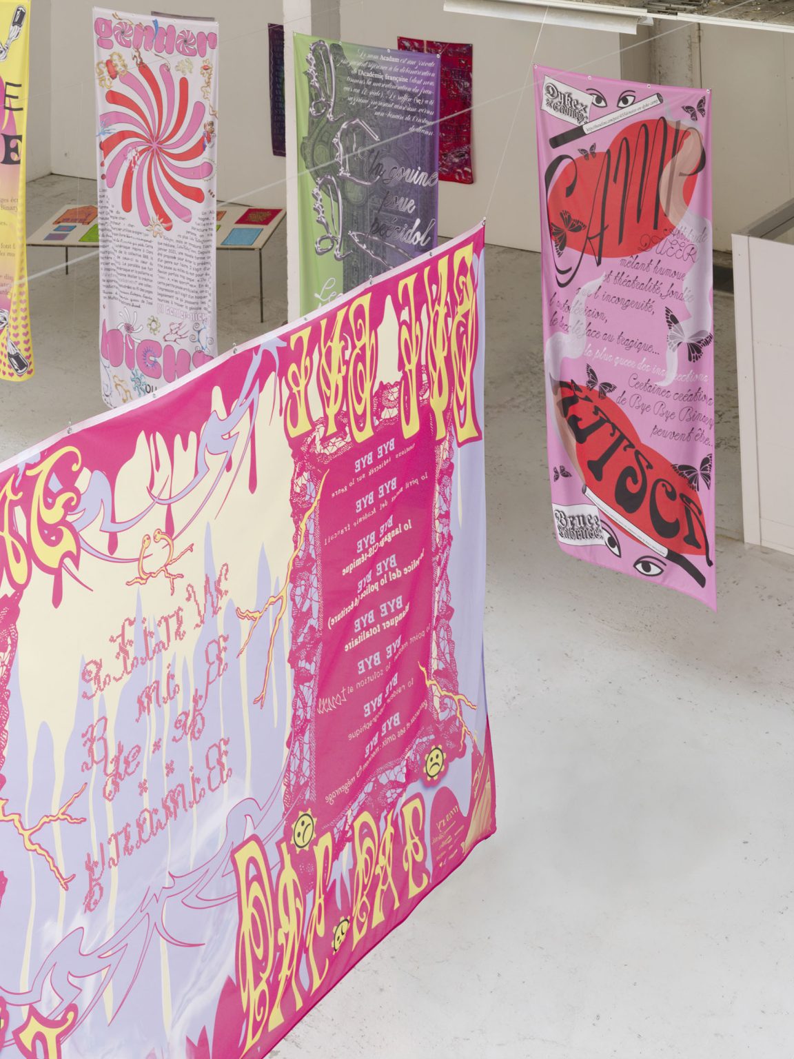 H·Alix Sanyas & Bye Bye Binary at Passerelle Centre d’art contemporain ...