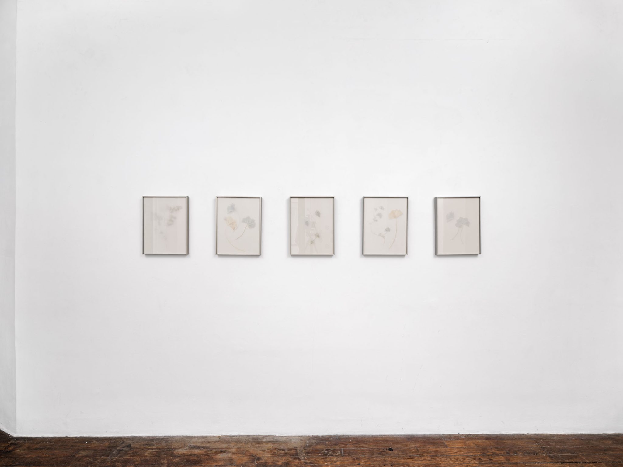 Dor Guez at Dvir Gallery, Paris – Art Viewer