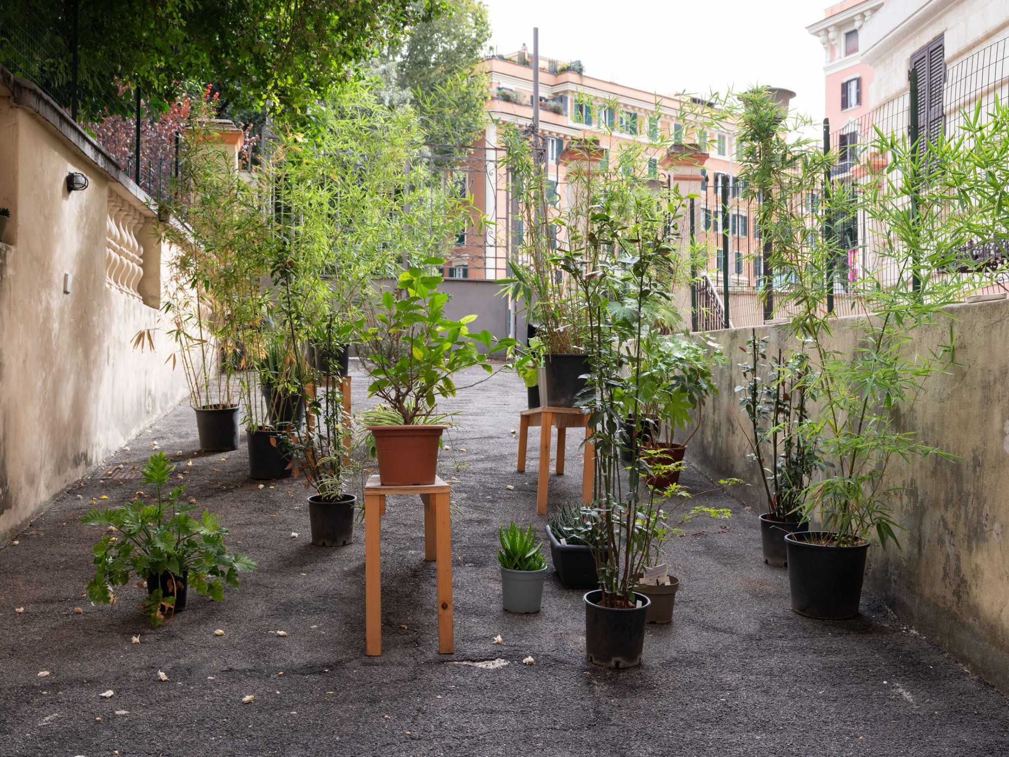 Basement Art Assembly Biennial, Issue 00 at Basement Roma – Art Viewer
