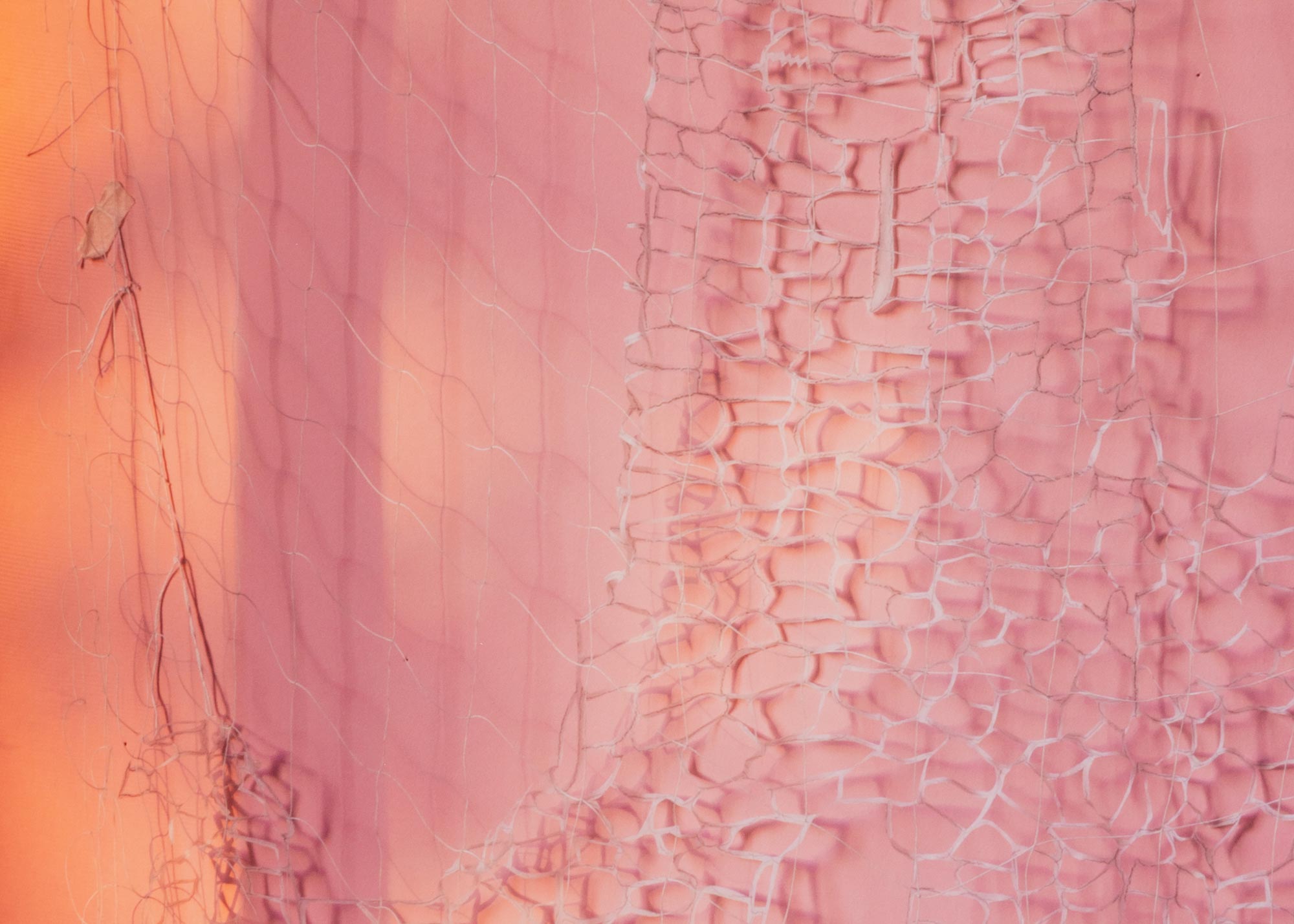 David Gilbert at Chris Sharp Gallery, Los Angeles – Art Viewer