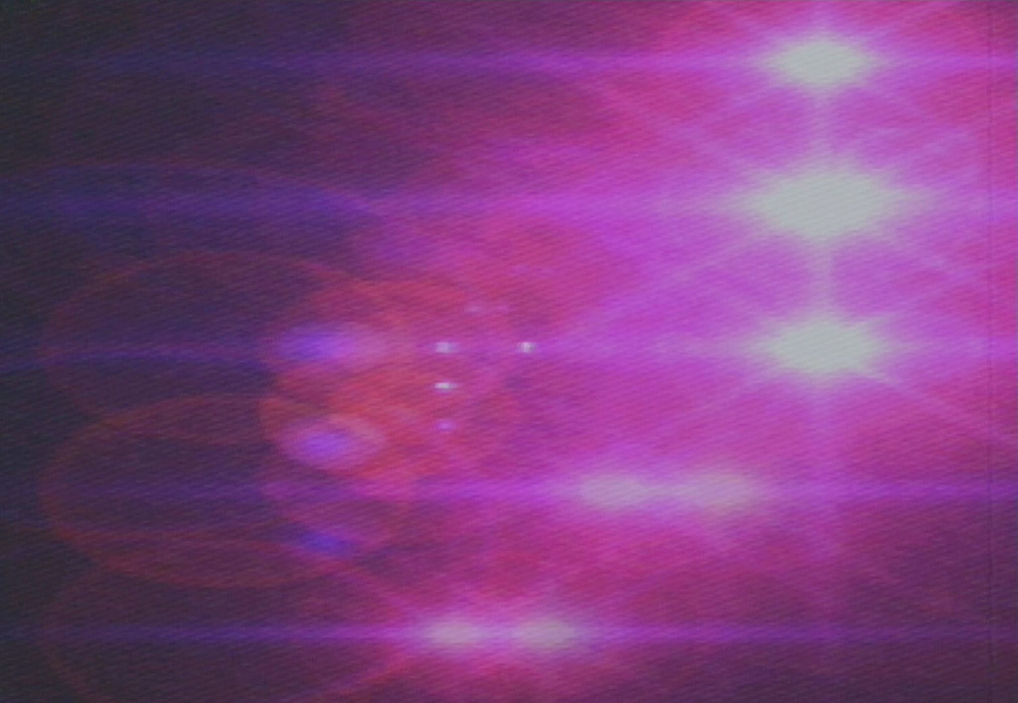Sabina Maria van der Linden at Exile, Vienna – Art Viewer