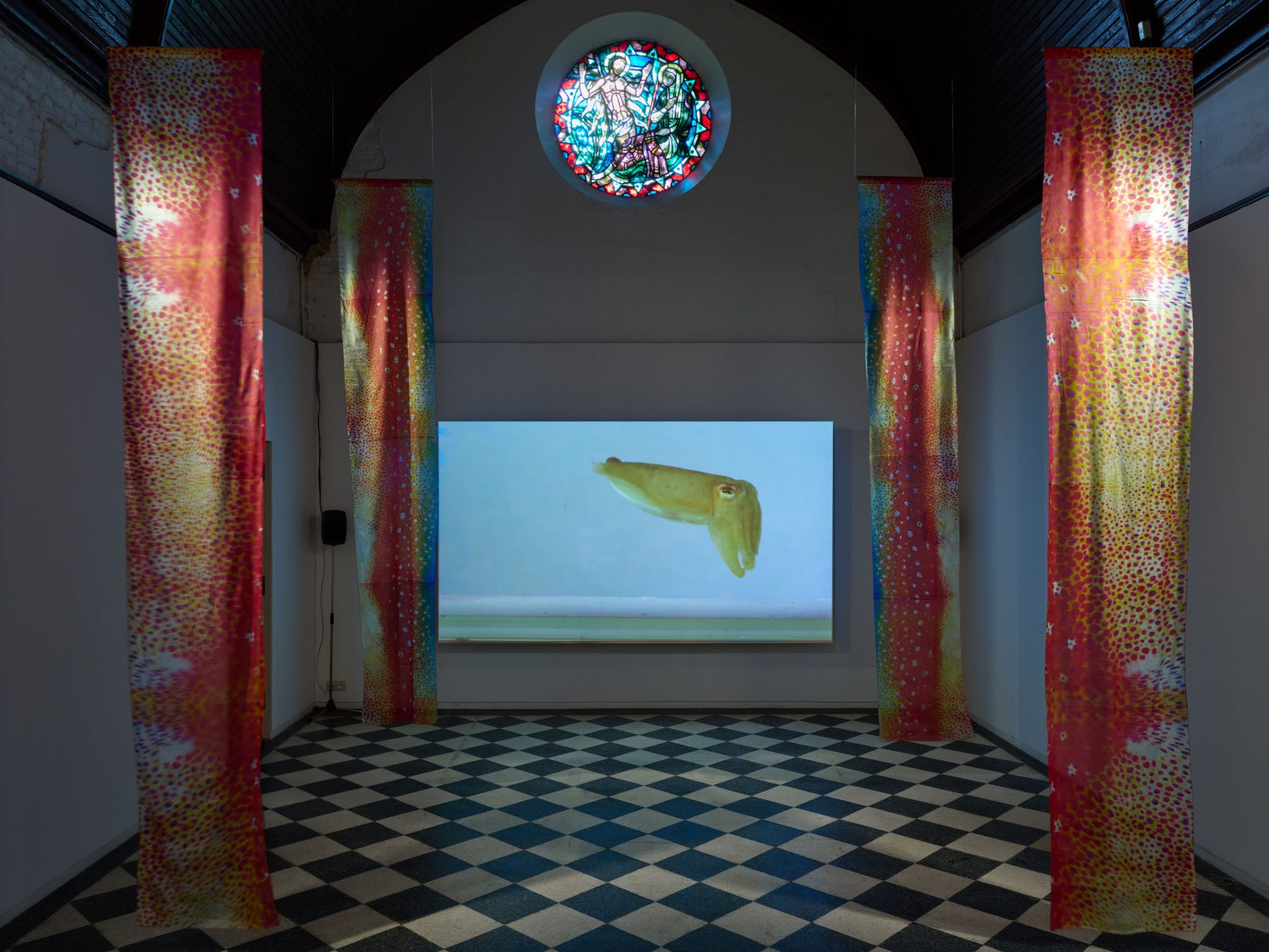 Bianca Baldi at Kunsthal Extra City, Antwerp – Art Viewer