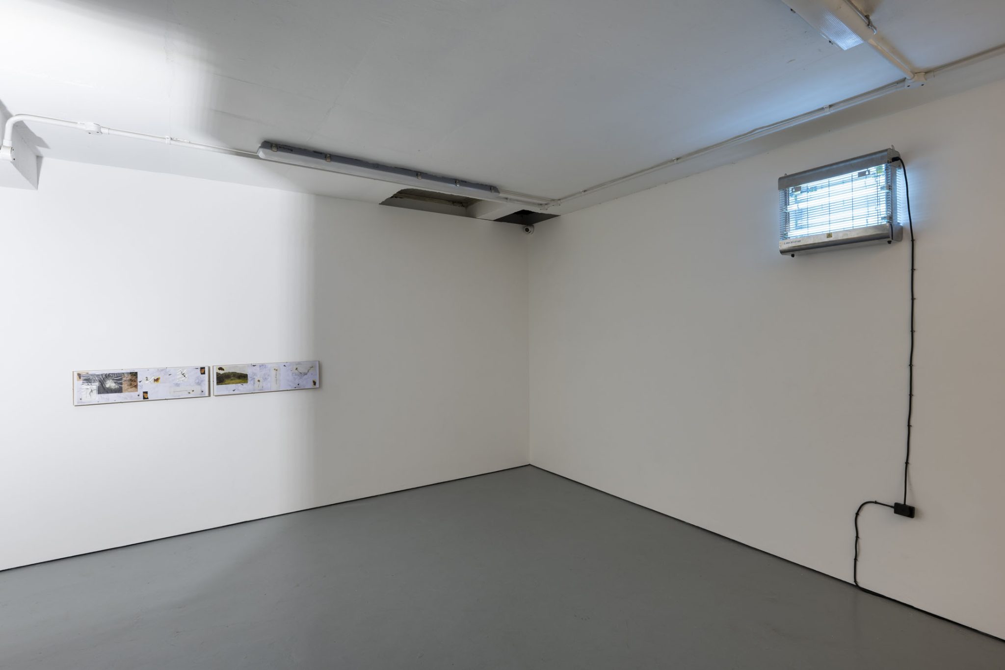 Lorenzo Bucci at Santi, London – Art Viewer