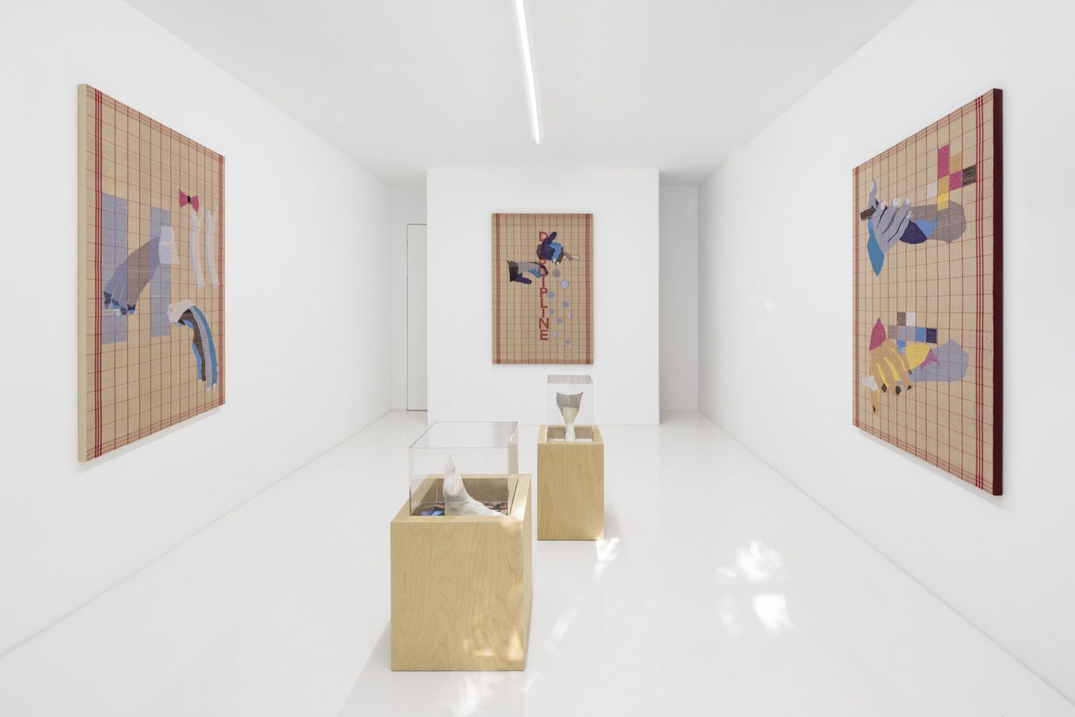 Miranda Fengyuan Zhang at Capsule Shanghai – Art Viewer