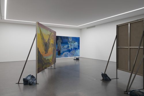 Noemi Pfister at Bündner Kunstmuseum, Chur – Art Viewer