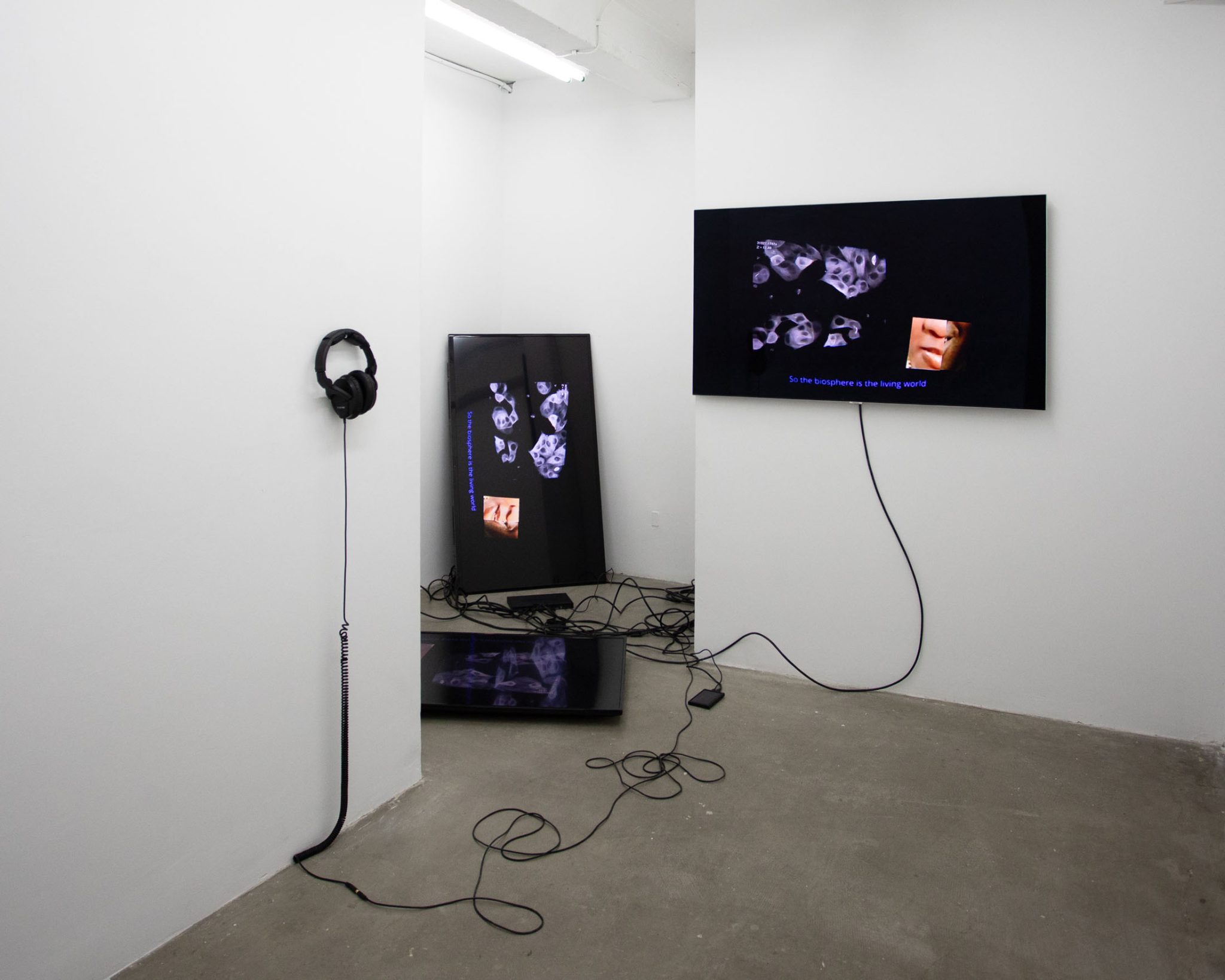 Timothy Yanick Hunter at COOPER COLE, Toronto and Bradley Ertaskiran ...