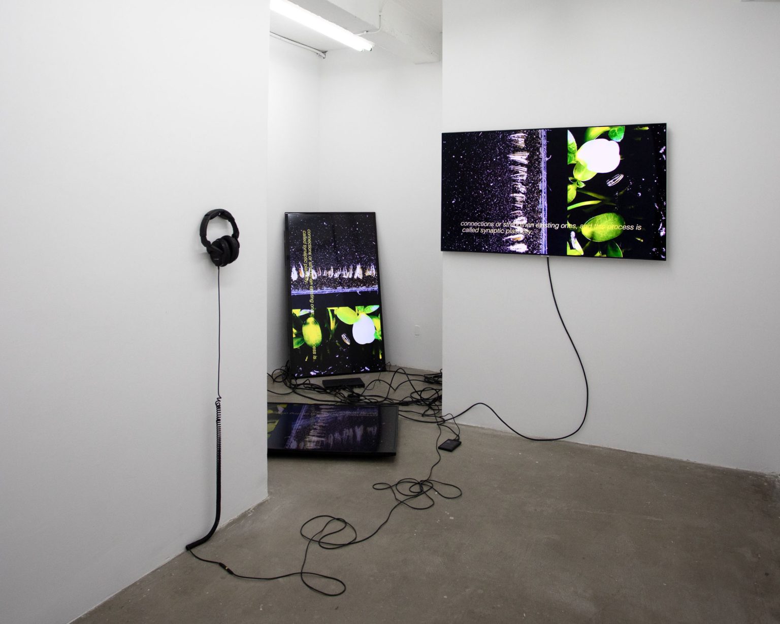 Timothy Yanick Hunter at COOPER COLE, Toronto and Bradley Ertaskiran ...