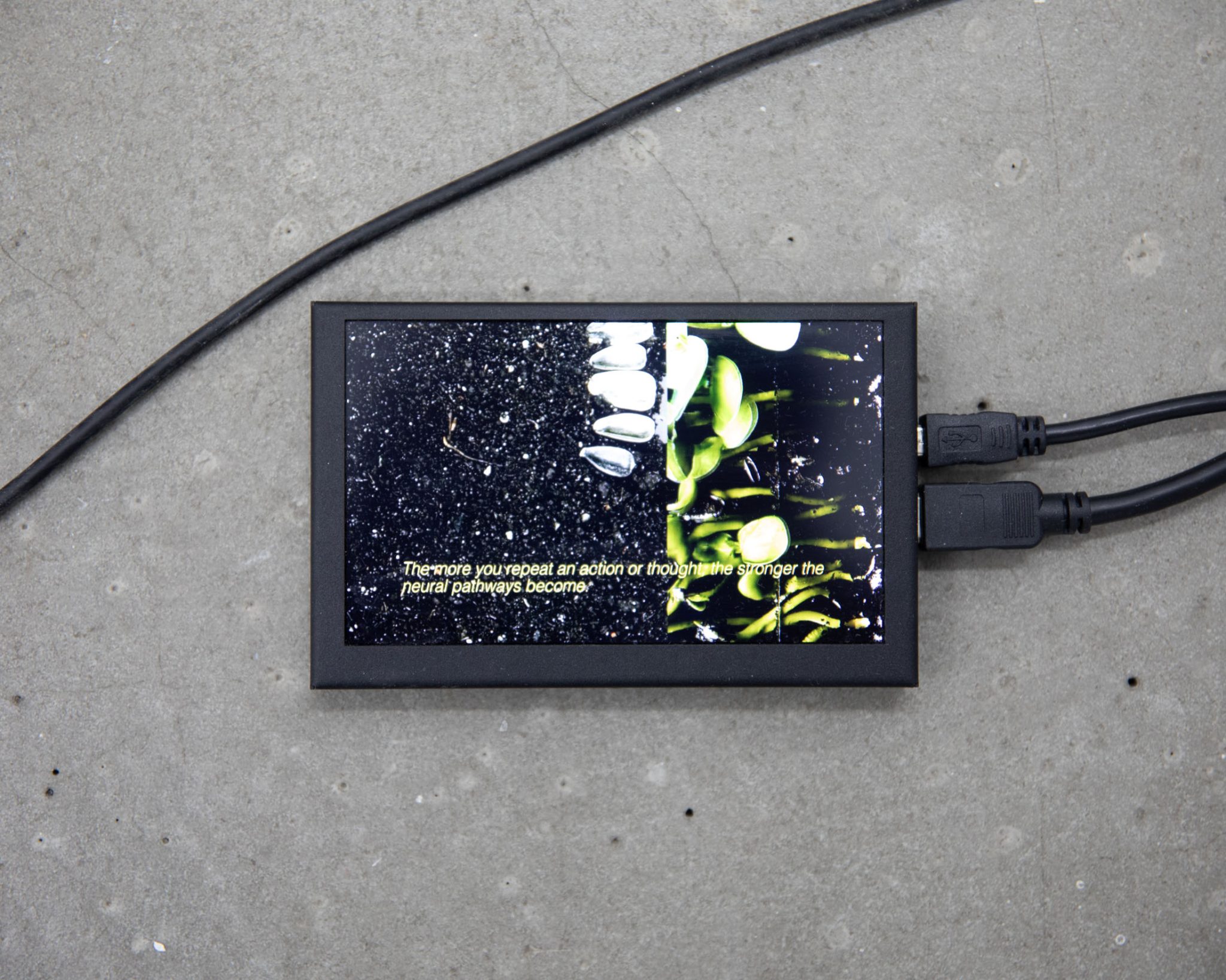 Timothy Yanick Hunter at COOPER COLE, Toronto and Bradley Ertaskiran ...