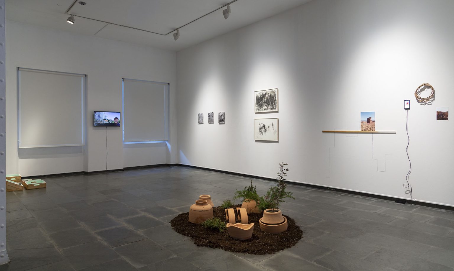 Monte Coronado Caso a estudio de tercer paisaje at Galería Isabel ...