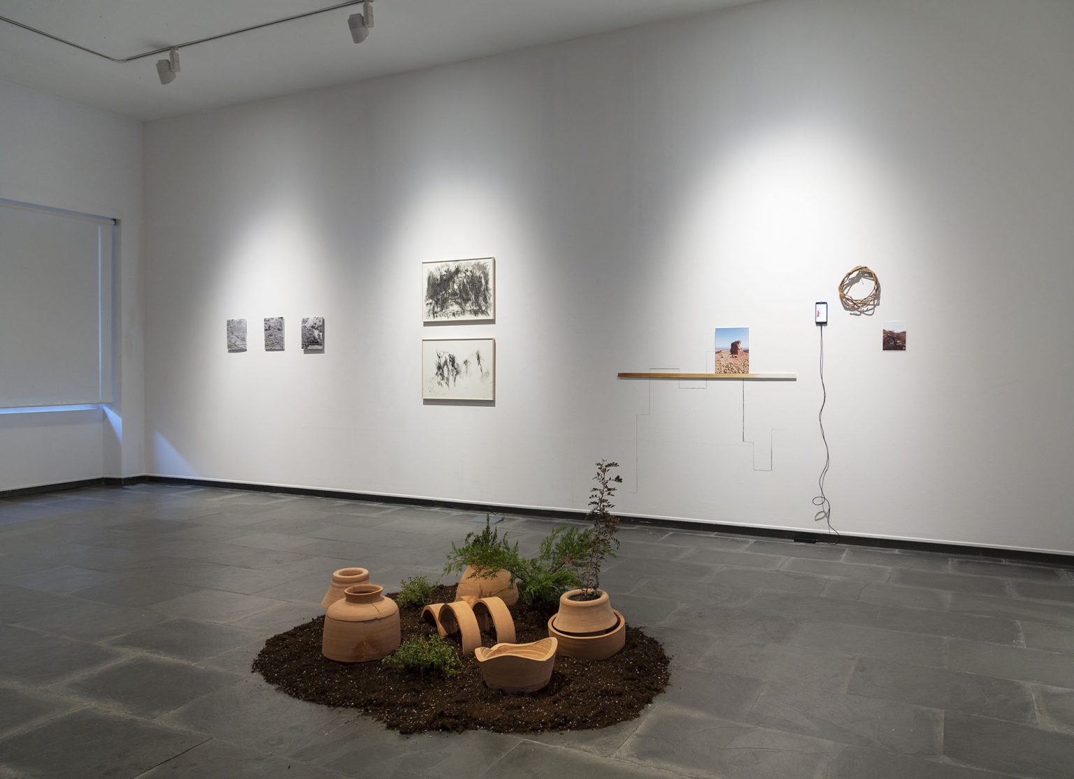 Monte Coronado Caso a estudio de tercer paisaje at Galería Isabel ...