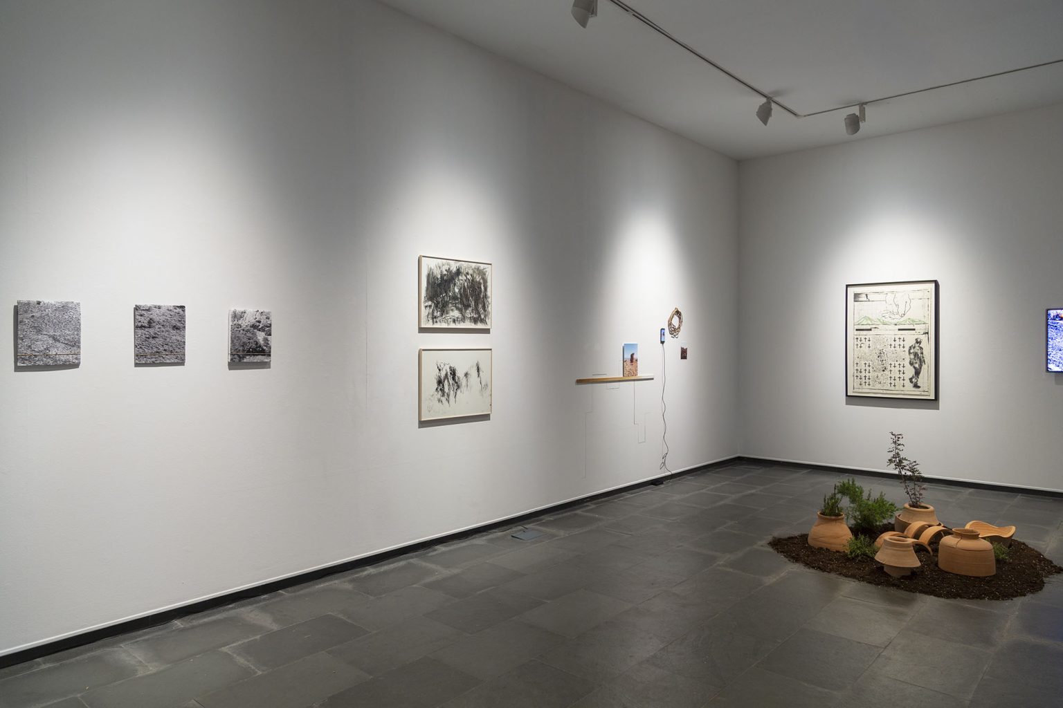 Monte Coronado Caso a estudio de tercer paisaje at Galería Isabel ...