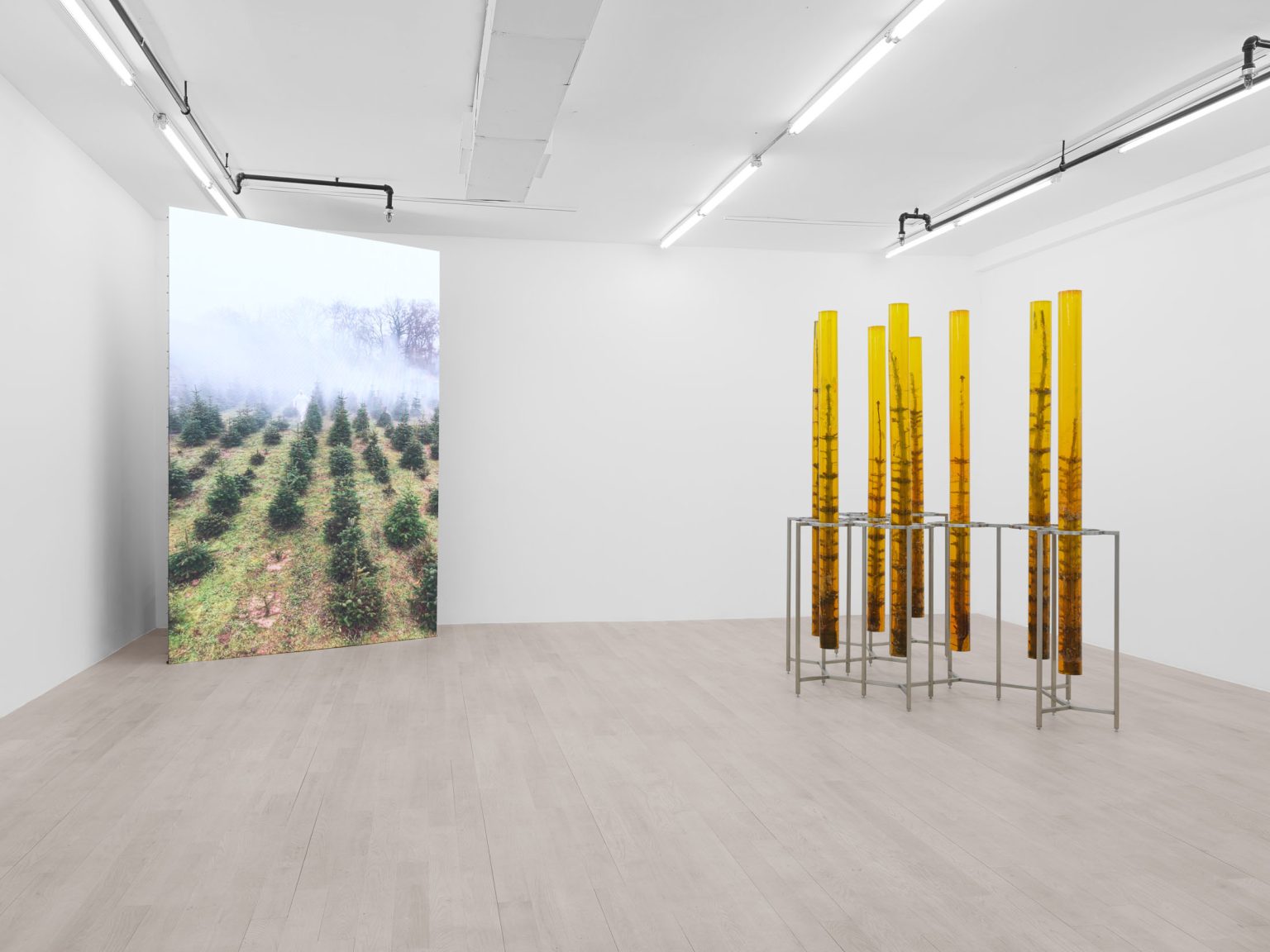 Jura Shust at Management, New York – Art Viewer