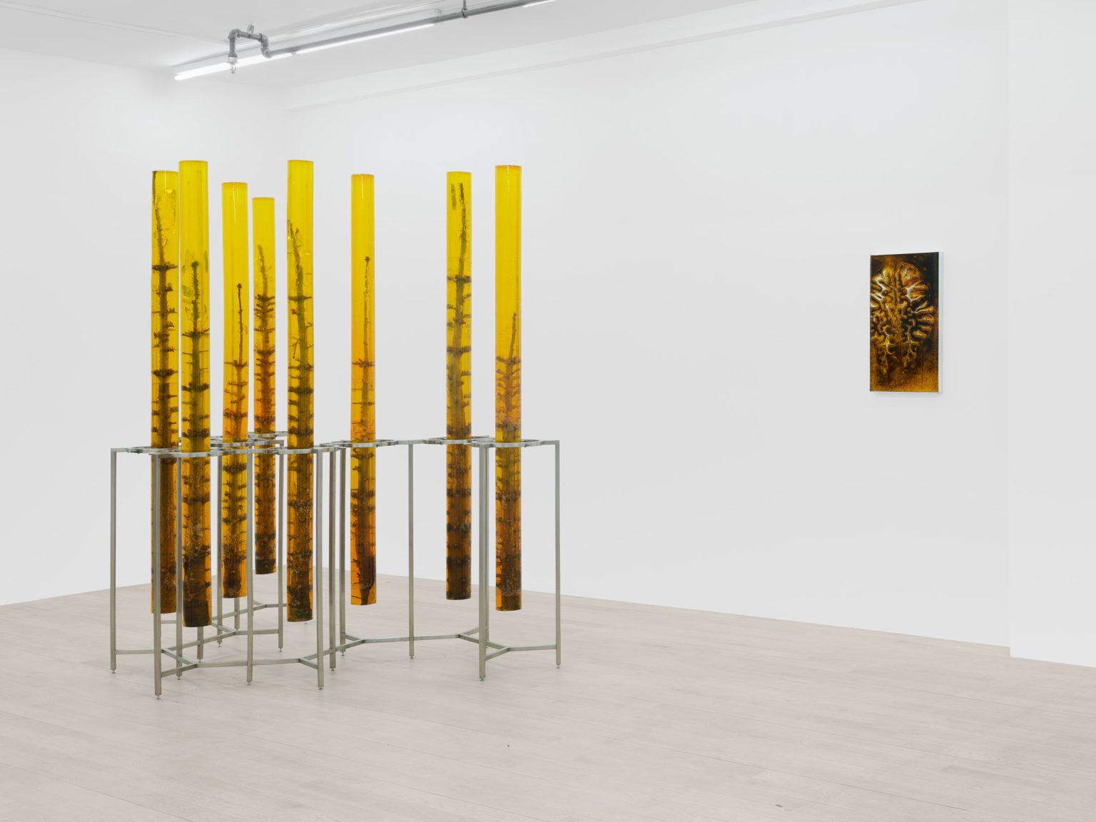 Jura Shust at Management, New York – Art Viewer