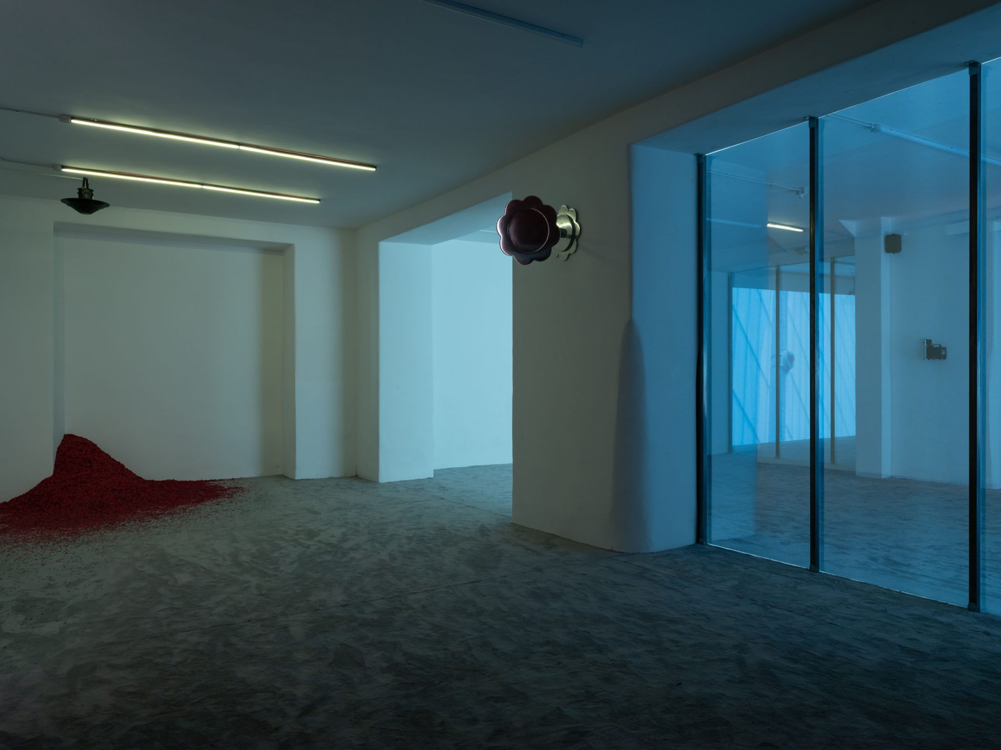 Dorota Gawęda and Eglė Kulbokaitė at Basement Roma – Art Viewer