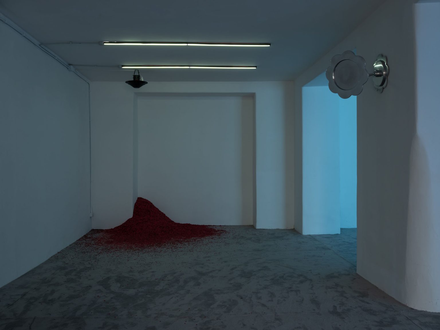 Dorota Gawęda and Eglė Kulbokaitė at Basement Roma – Art Viewer
