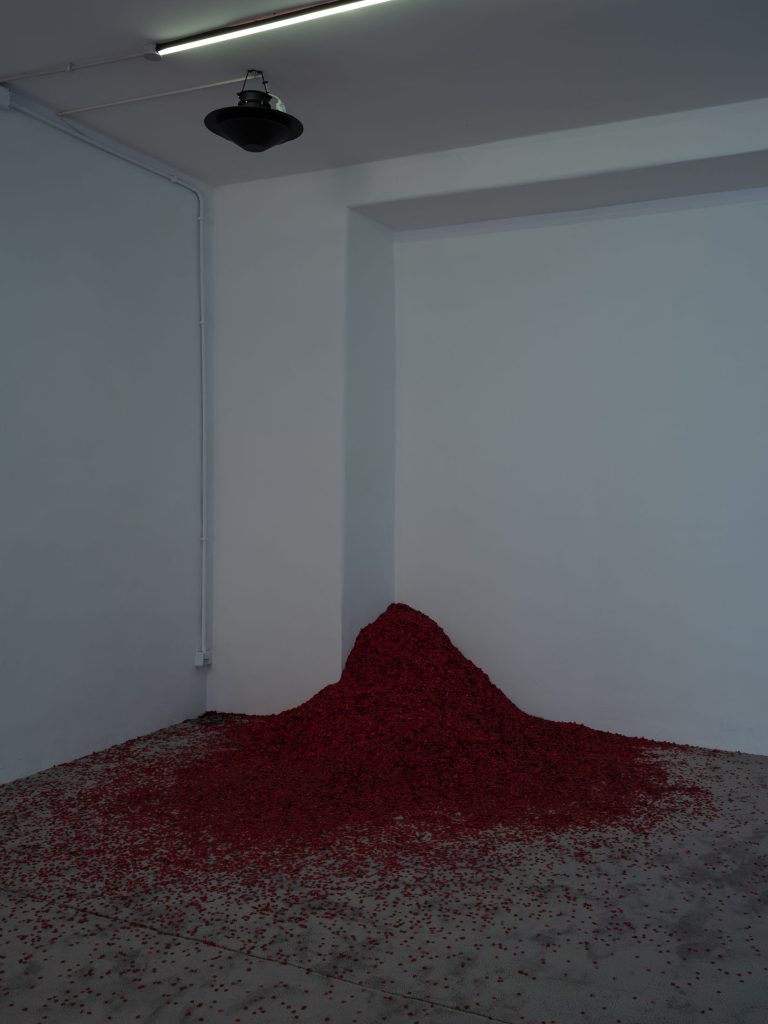 Dorota Gawęda and Eglė Kulbokaitė at Basement Roma – Art Viewer
